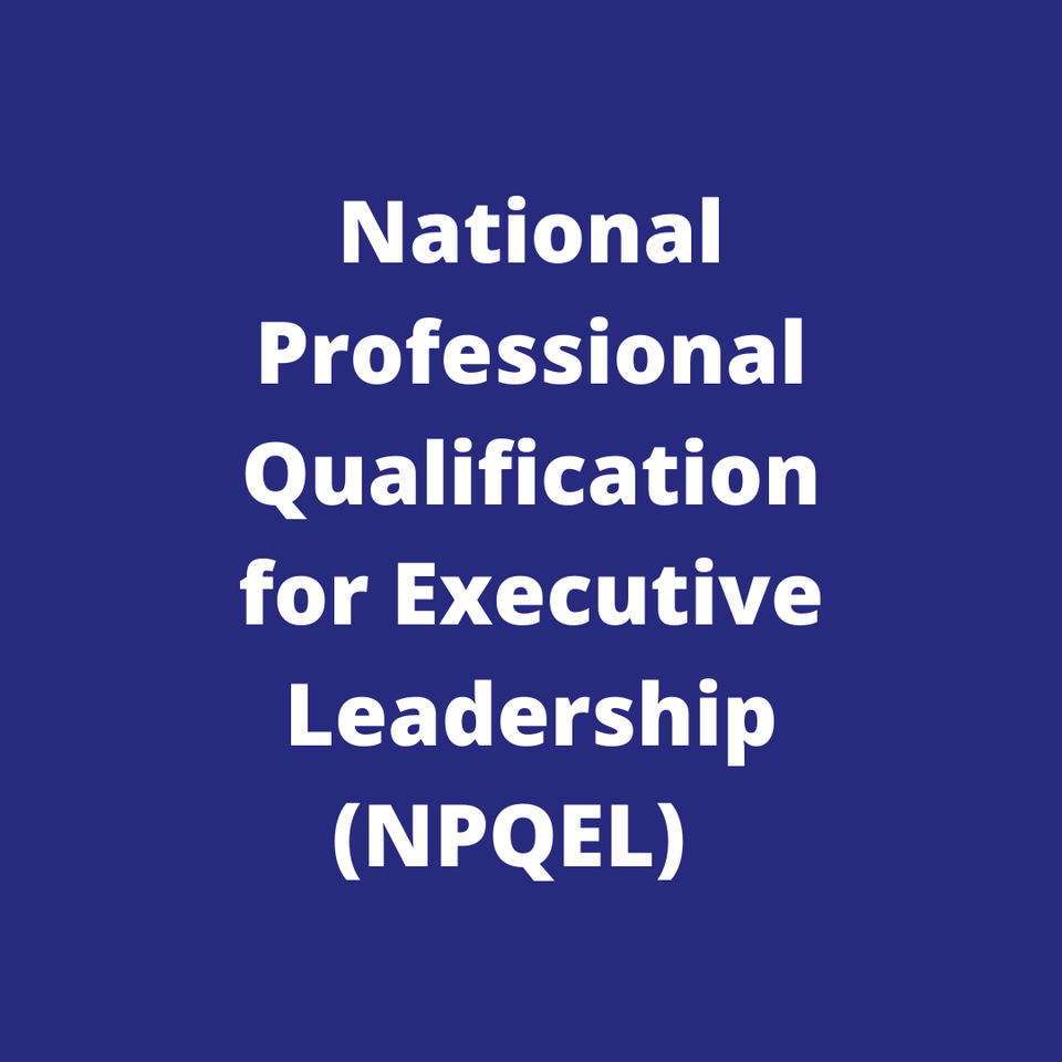 Overview of Programmes - Foundation For Educational Leadership